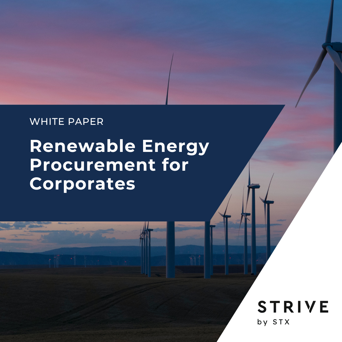 White Paper: Renewable Energy Procurement for Corporates